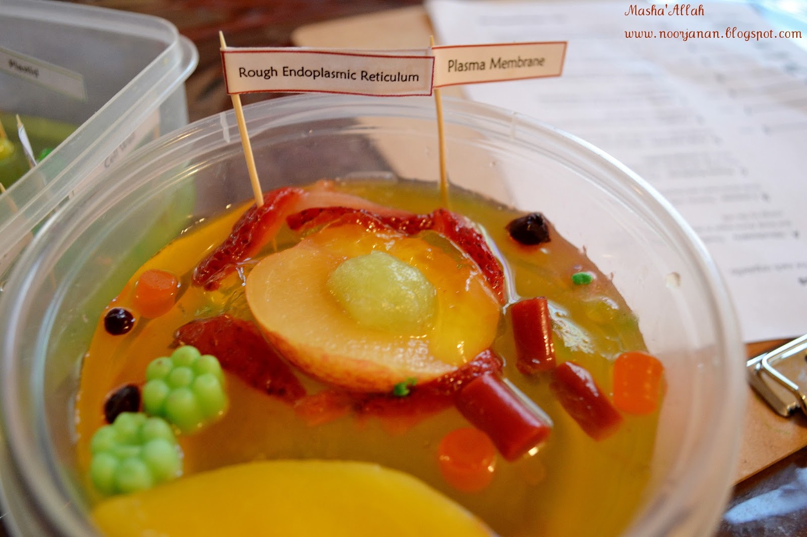 Noor Janan Homeschool: Edible Cells