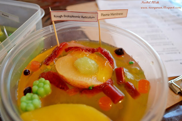 Noor Janan Homeschool: Edible Cells