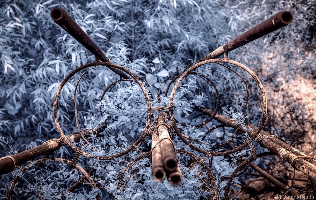 Vladimir Migutin entrou na Zona de Exclusão de Chernobyl e fotografou-a ...