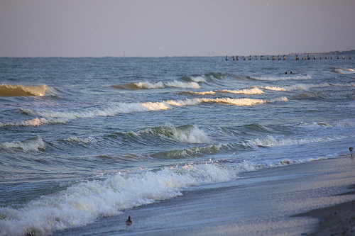 French Vocabulary Illustrated: clapoter