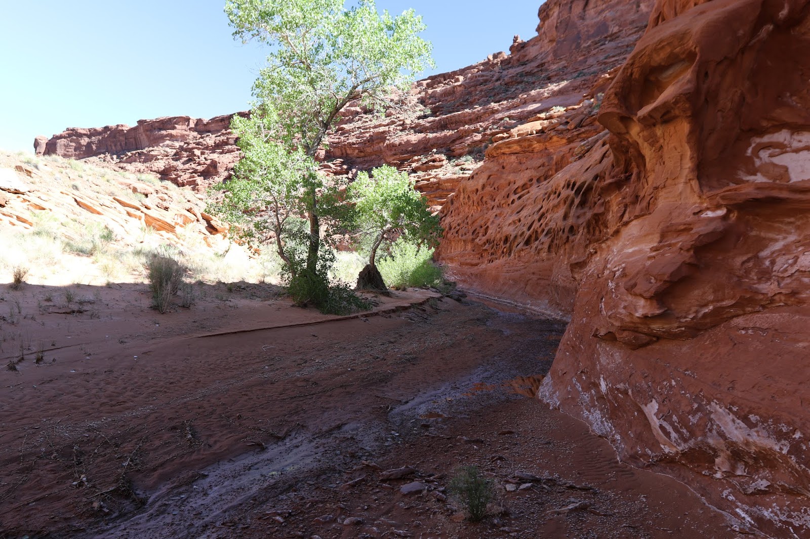 gjhikes.com: Butler Canyon