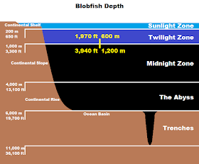 Real Monstrosities: Blobfish