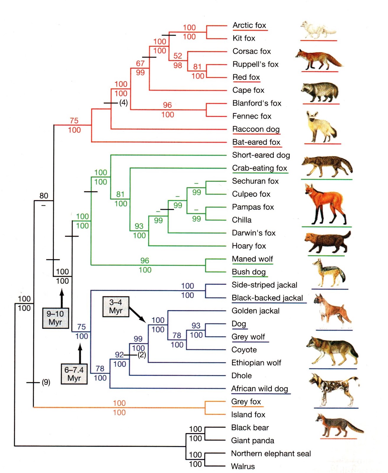 Biología 2 C201: Materiales para Evolución