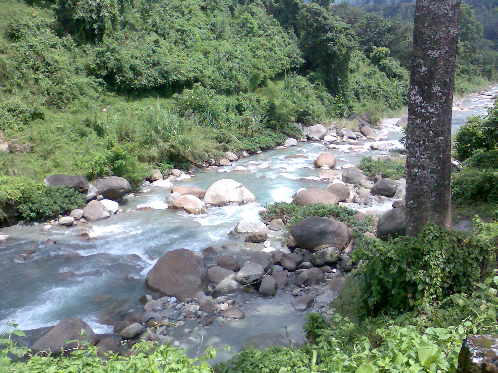 Prasun's Snap: Jaldhaka river at Jhalong...........