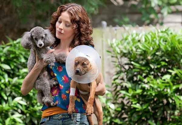 Its a Wonderful Movie - Your Guide to Family and Christmas Movies on TV ...