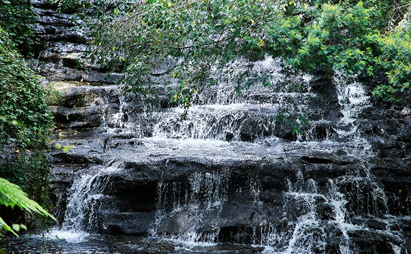 Tamilnadu Tourism: Pambar Falls (Liril or Vatakanal), Kodaikanal
