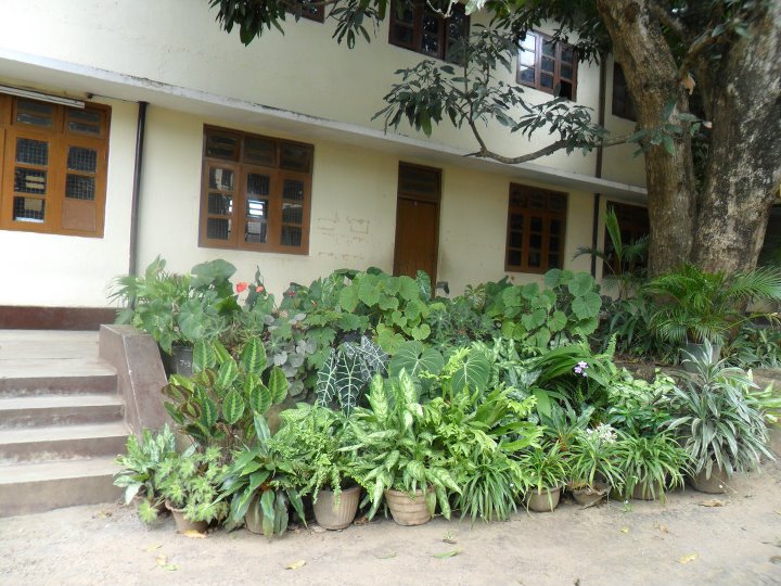 Seethadevi Girls' College: Gallery