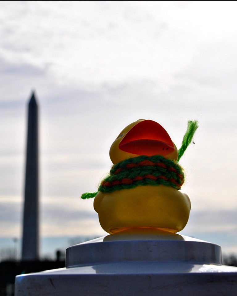 Quack Attack: Washington Monument