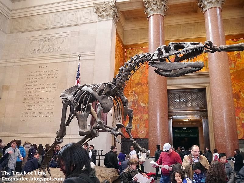 American Museum of Natural History - Entrance | The Track of Time