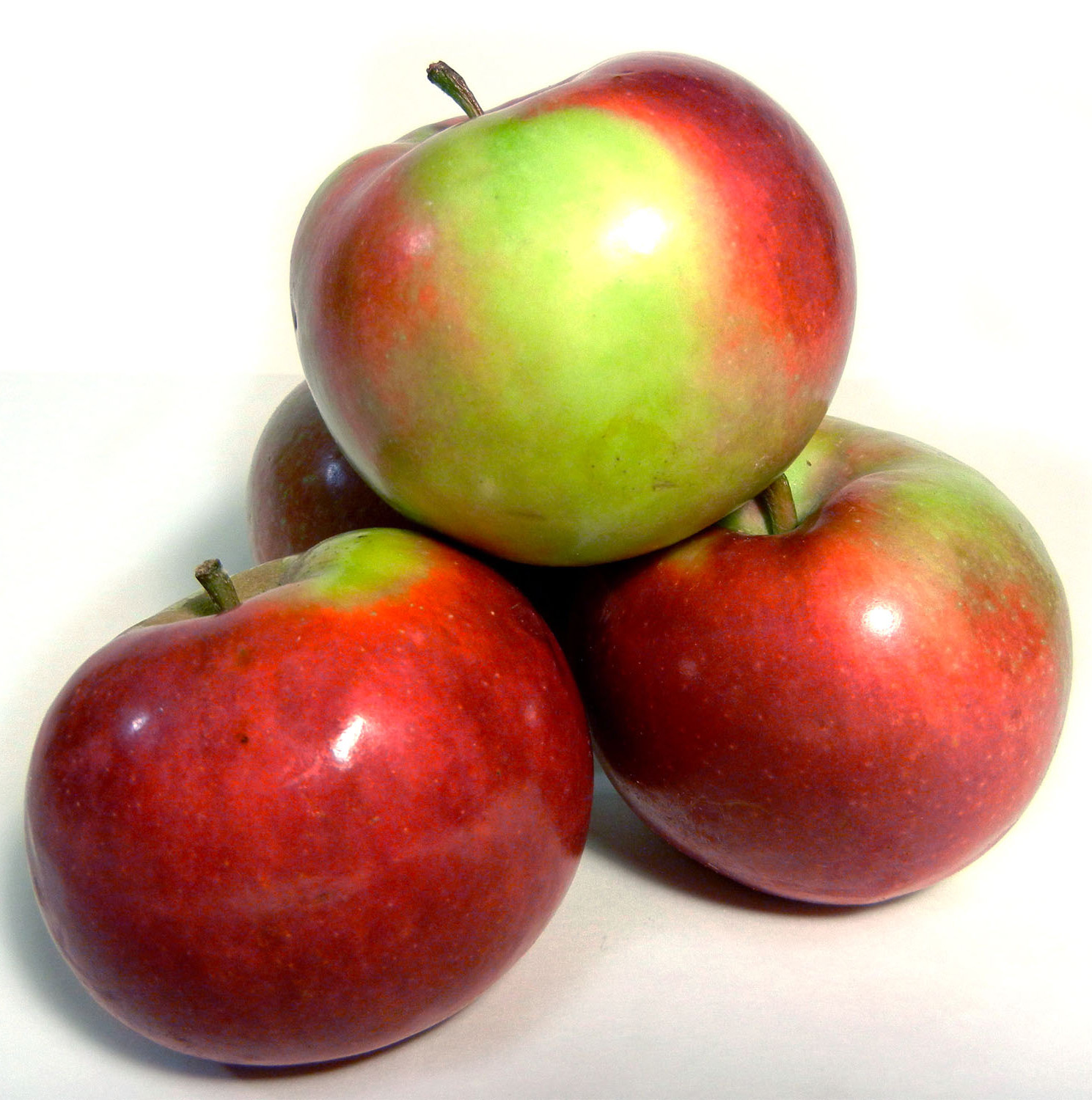 Rhubarb, Apple & Maple Jam