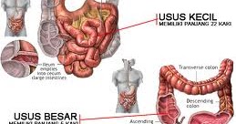 Asuhan Keperawatan Tn.K Dengan Pre Operasi Ileus Obstruktif