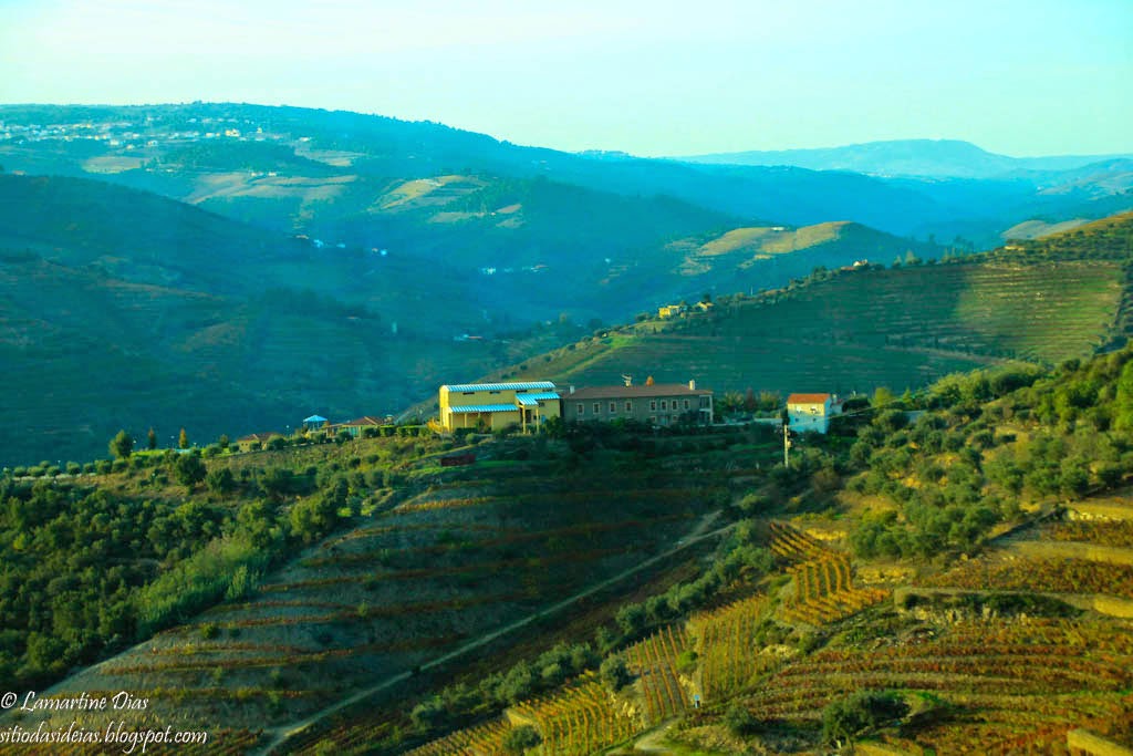 Sítio das ideias: 2014