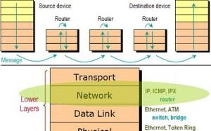 Network Layer: Network