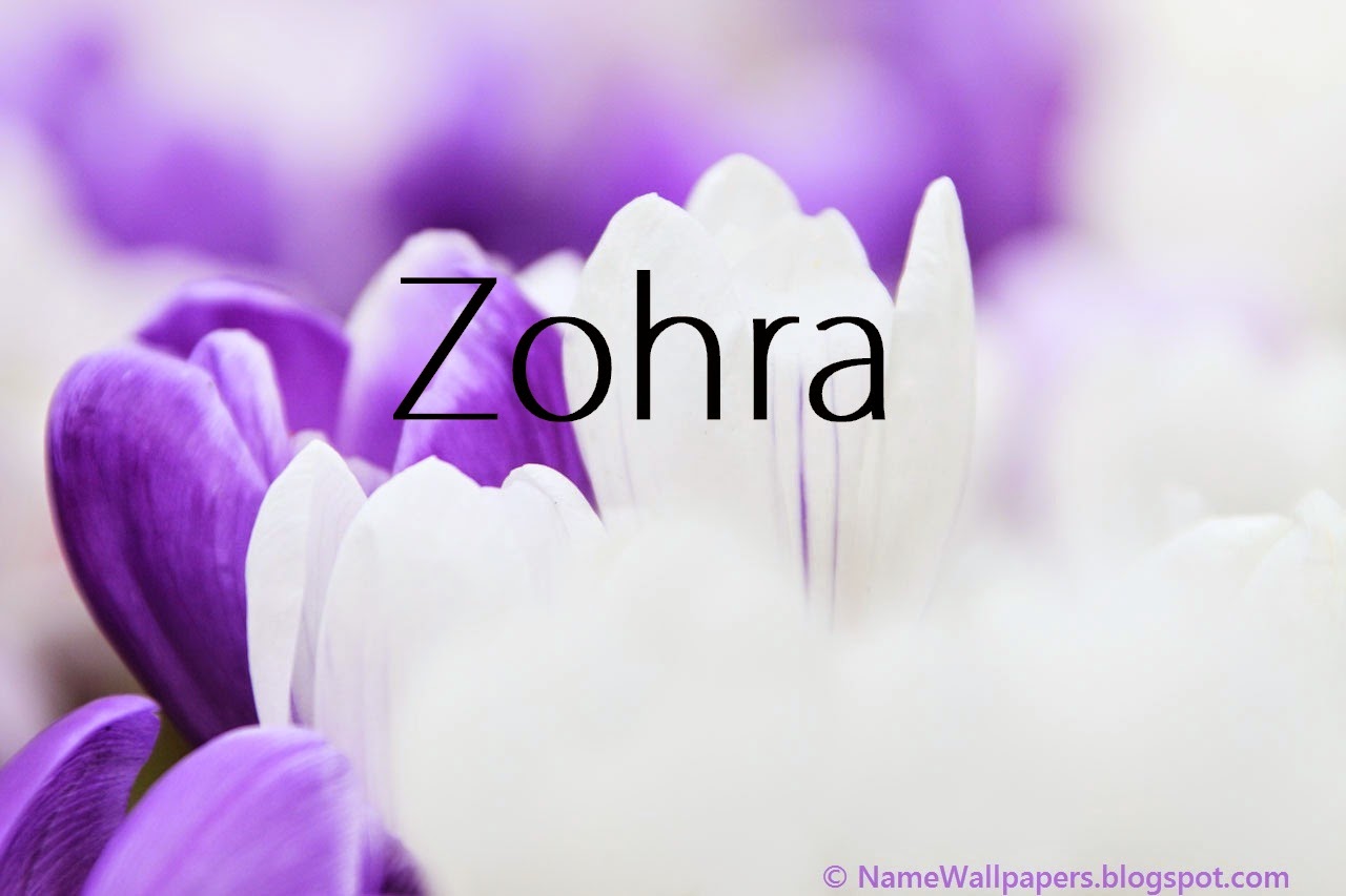 Zohra Name Wallpapers Zohra ~ Name Wallpaper Urdu Name Meaning Name ...