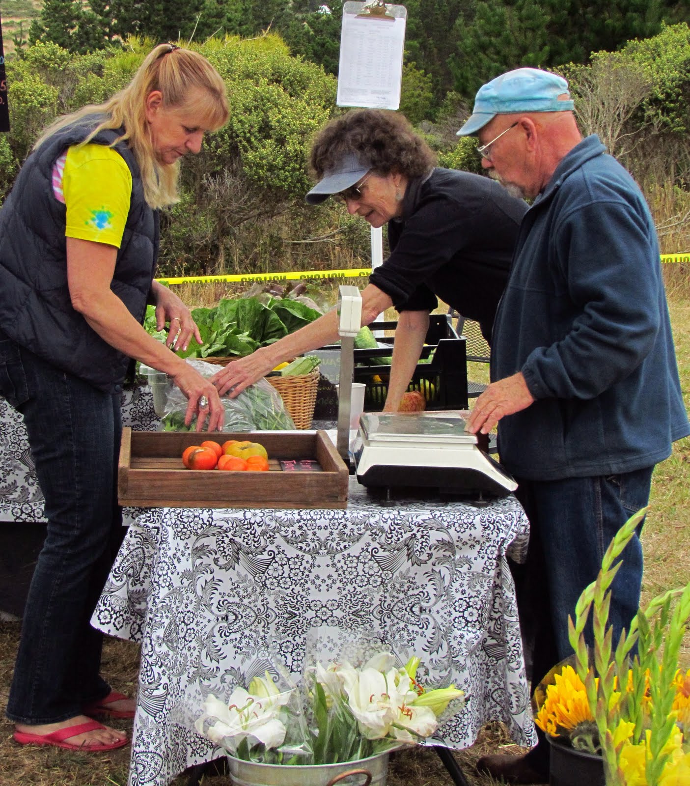 Mama Loves the Beach!: Bountiful Bodega Bay Farmers Market!