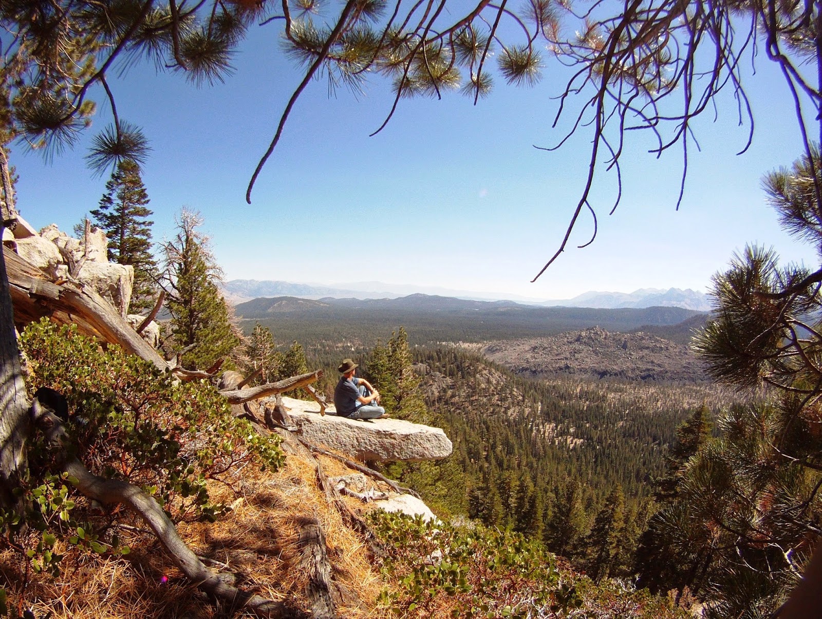 Countryman: Foraging California's Wild Side: High Desert Trails