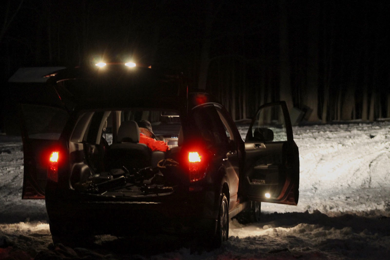 In Search of Perfect Light...: Northwoods Follies -- A Dangerous Game