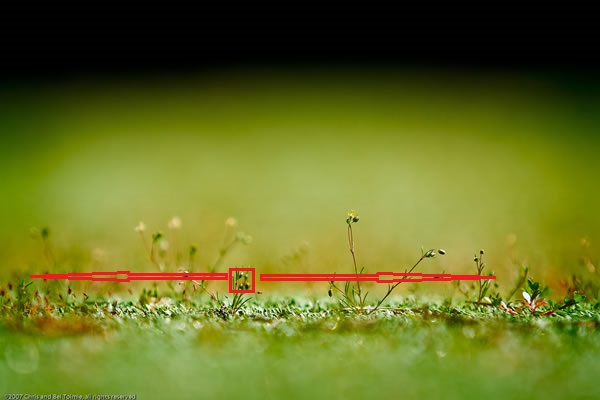 Country Road: Single Point Focusing