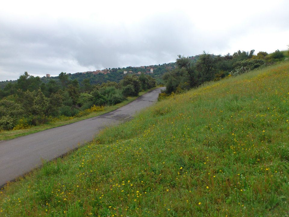 Die Kabylei: Die Impressionen