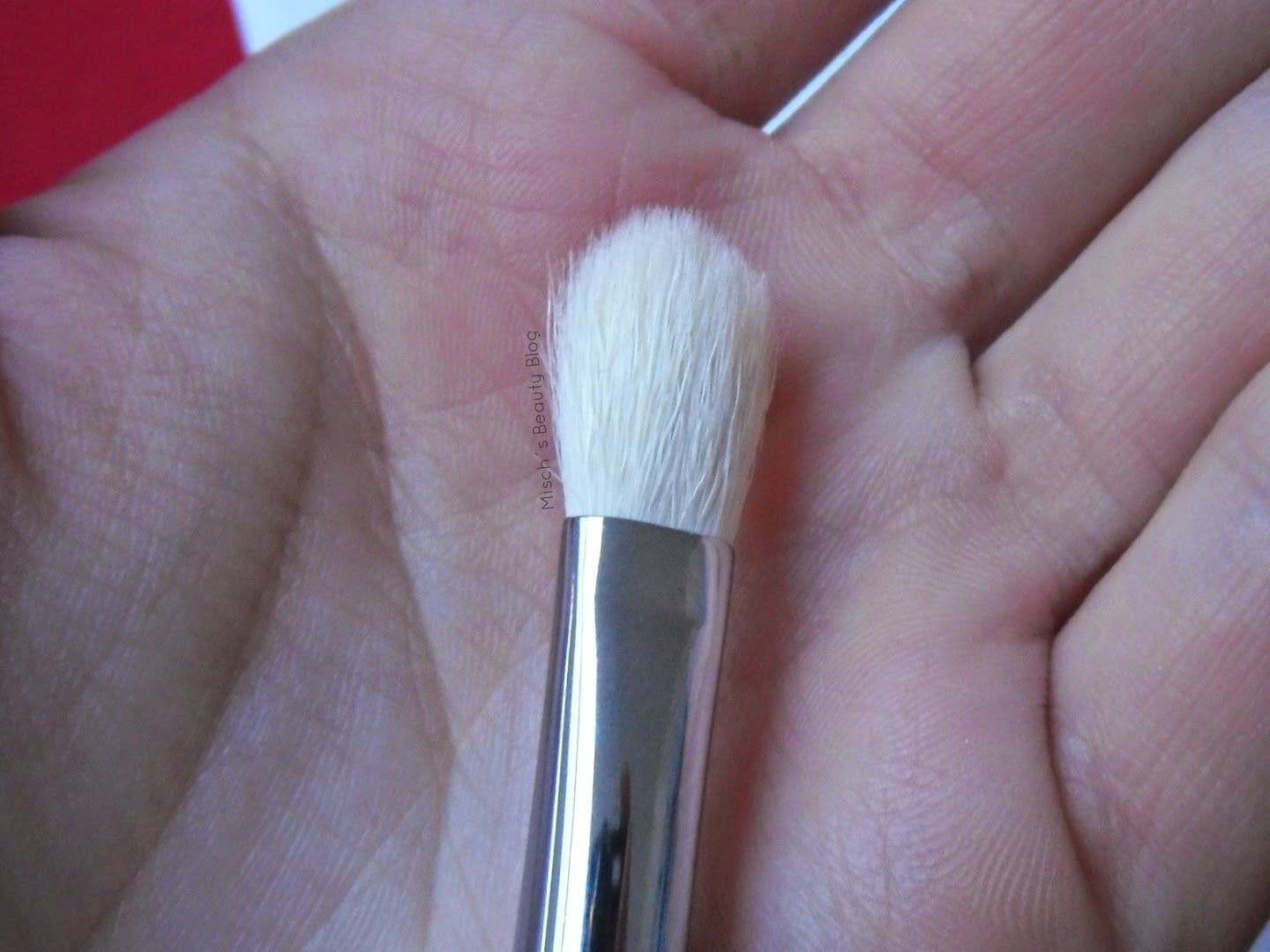 Misch's Beauty Blog: New Sigma Brushes! E30 and F40