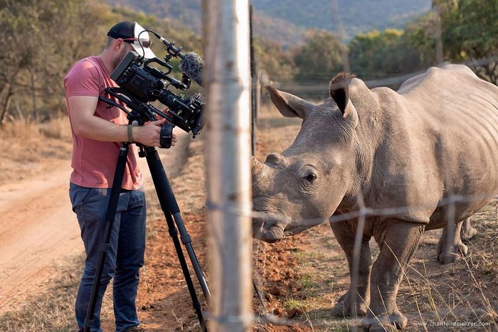 Incredible! Wild Rhino Approaches Cameraman And Demands A Belly Rub [Watch]
