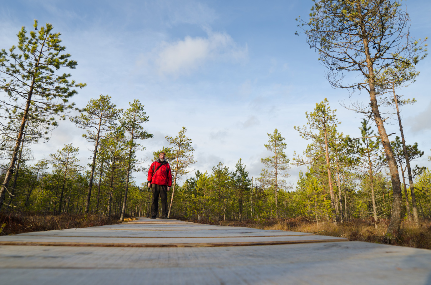 Loitsija: Enne aastavahetust Valgesoo rabas