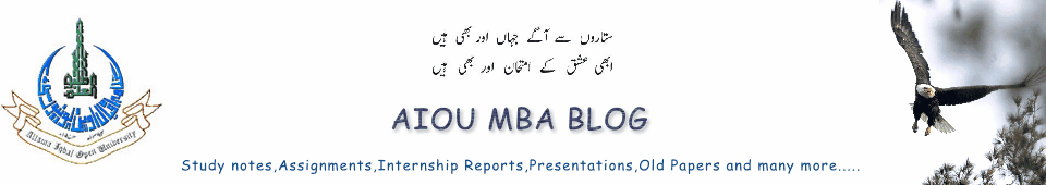 Aiou MBA: Format of the Internship Report for MBA HRM