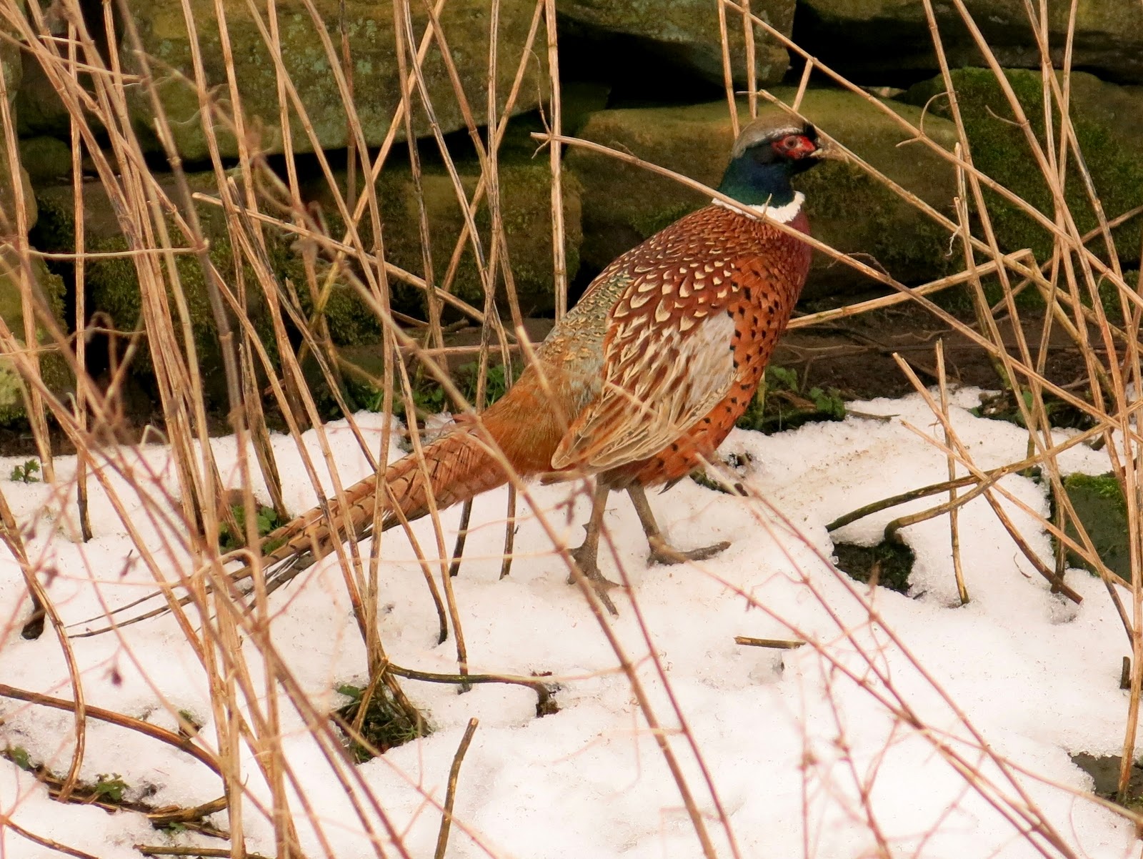 Walking in North Yorkshire
