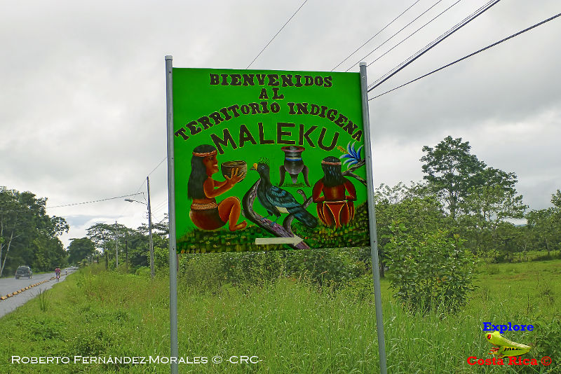 Palenque Margarita -San Rafael de Guatuso, Alajuela- | Explore Costa Rica