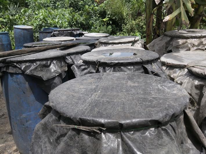 Photos showing how local gin 'Ogogoro' is brewed in Nigeria