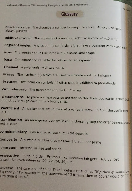 Little Homeschool on the Prairie: Understanding Pre-Algebra Review