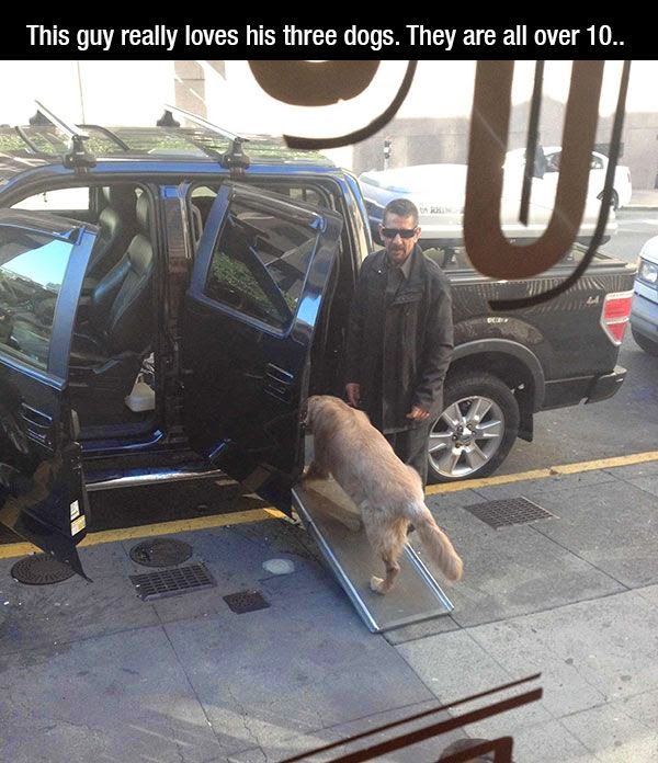 People doing amazing things for animals (28 pics) | Amazing Creatures