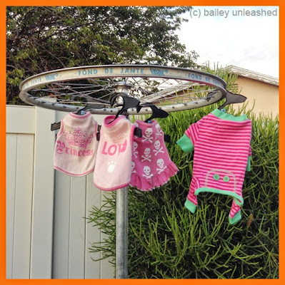 bailey unleashed .com: diy clothesline (supervised by bailey)