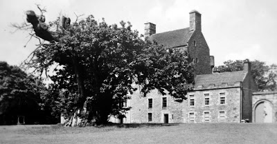 Tour Scotland: Old Photograph The Covin Trysting Tree Bemersyde Melrose ...