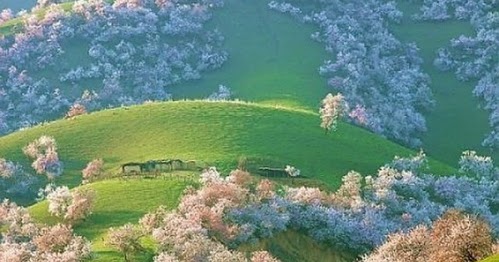 fabulous pictures: Shinjang, China