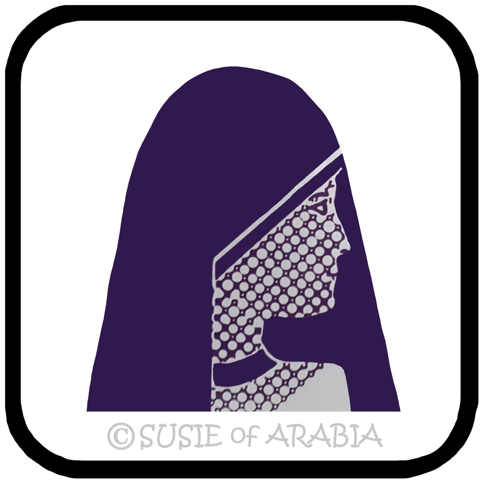 Saudi Arabian Toilets