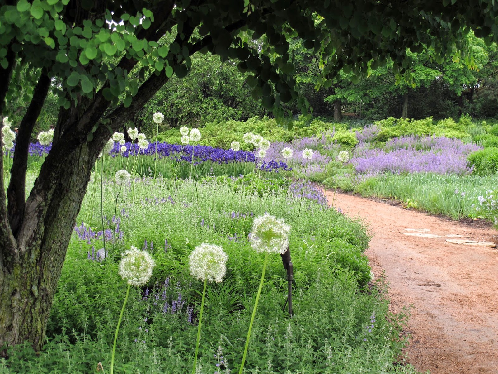 En el jardin: Jardín Botánico de Chicago: vale la pena.