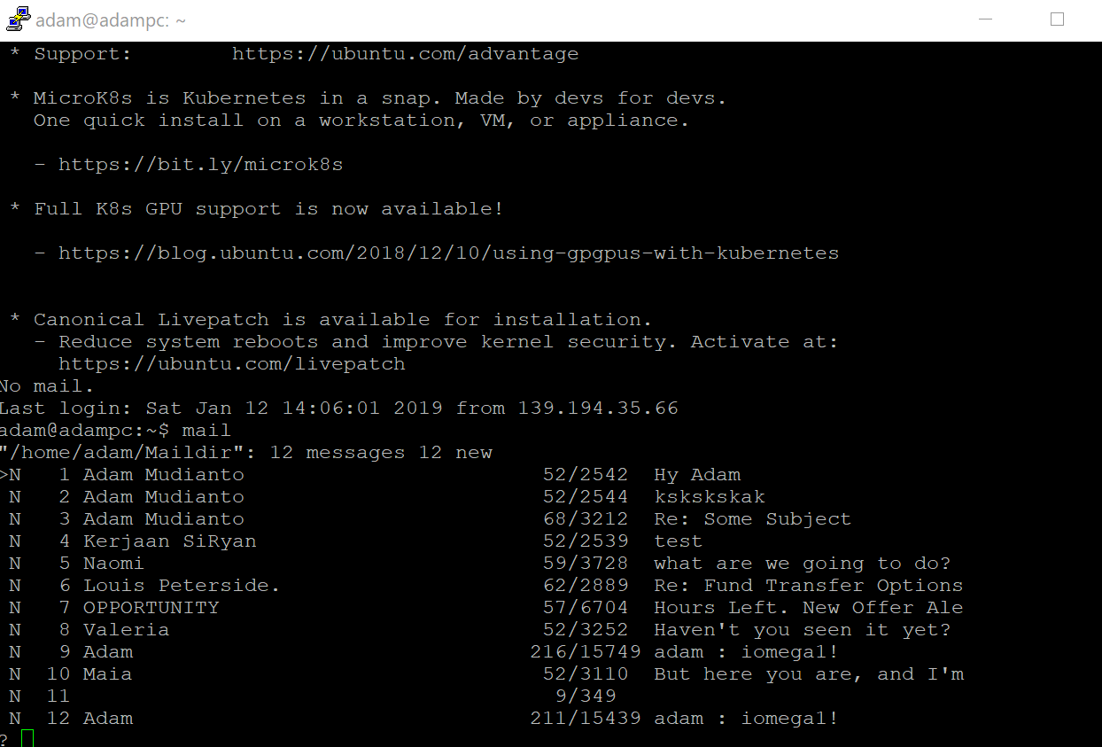 Install Email On Ubuntu