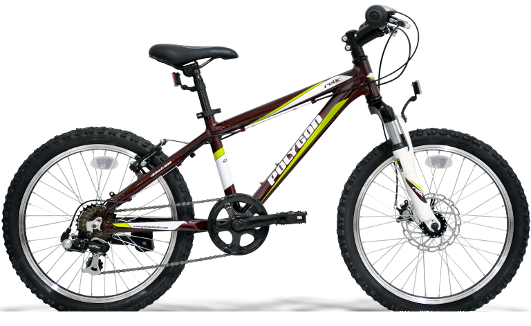 POLYGON CYCLE: SEPEDA POLYGON MTB RELIC 20