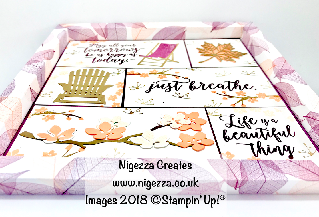 Nigezza Creates: Shadow Box Frame Sampler Using Stampin' Up!® Natures ...