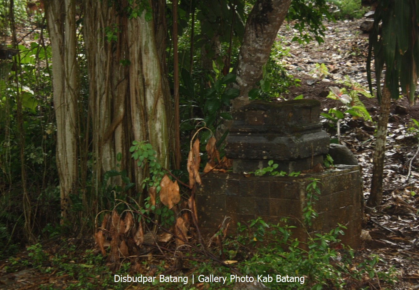 Yoni Sempu Limpung : Batang Gallery