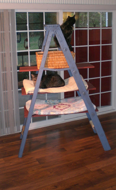 Red Shed Vintage: Trash Talk Tuesdays Tutorial: Kitty Condo!