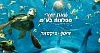 מוצאים את נמו (Finding Nemo) לצפיה ישירה ולהורדה