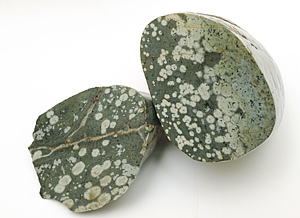 ROCKHUNTER NORTHWEST: Back to the Variolites