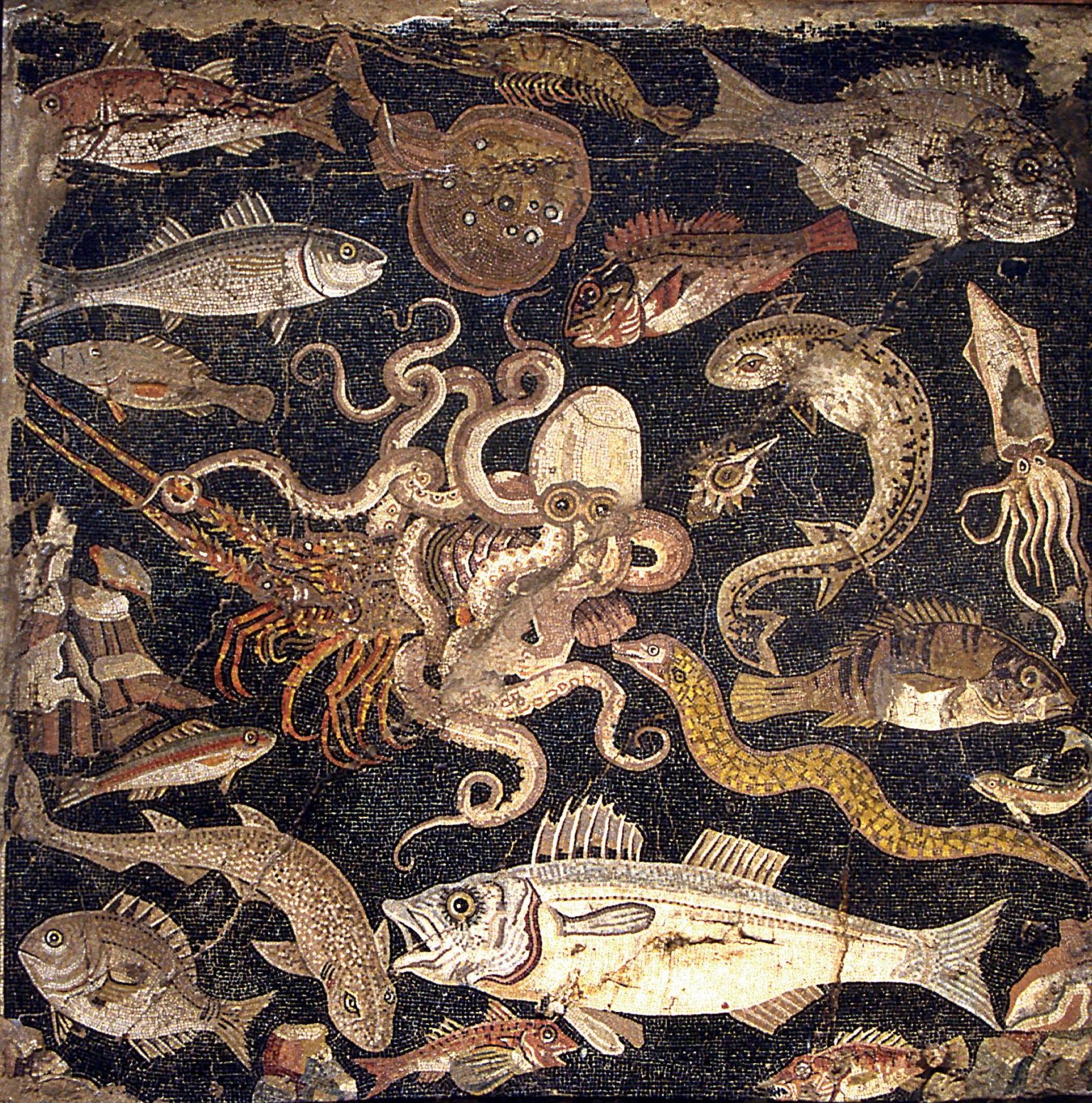 Art Frame: MMFA 2016: POMPEII