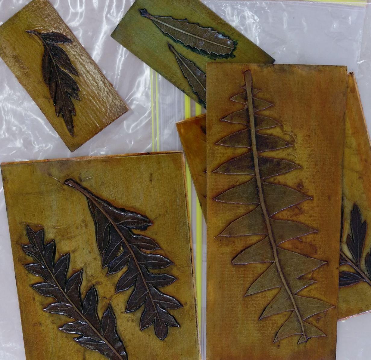 Sandra Pearce: Collagraphs with Plants and Friends
