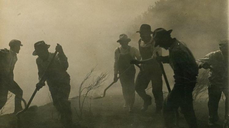 Griffith Park Fire 1933