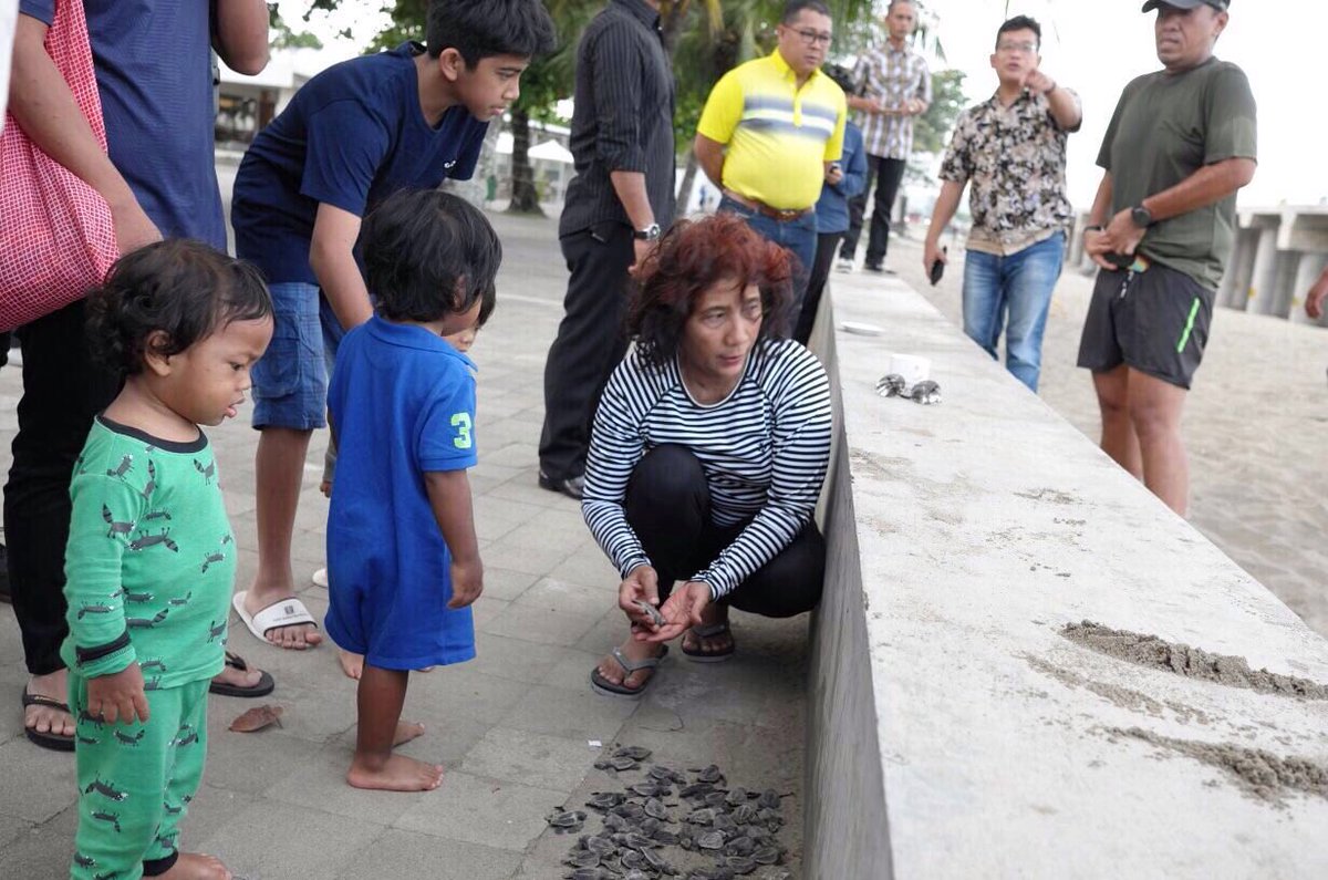 Ibu Susi Pudjiastuti Melepas Tukik di Padang