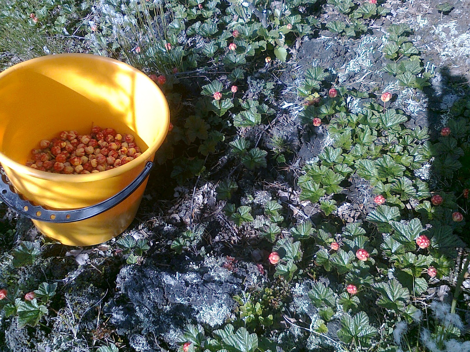 Ireneusz Gębski: Moroszka, szczupaki i inne atrakcje