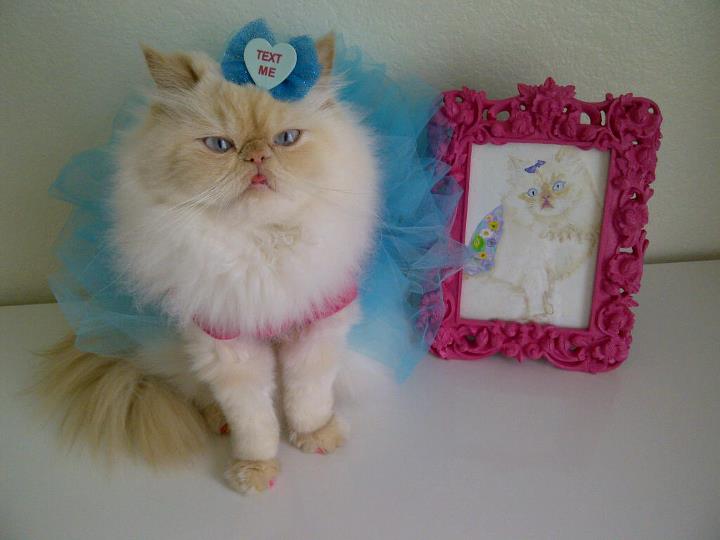 Catsparella: August 2011